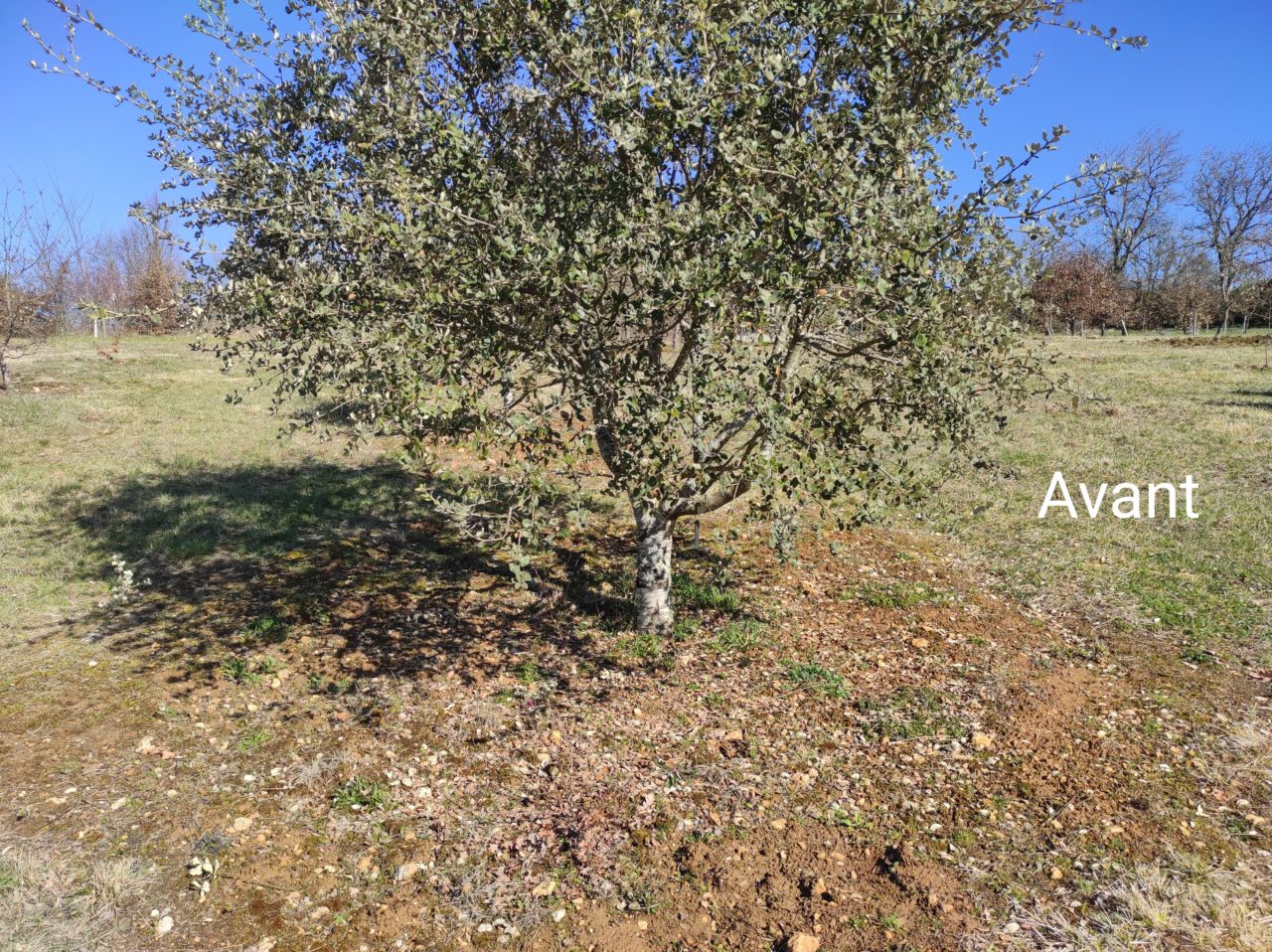 Travail des truffieres en Dordogne - tga24.fr